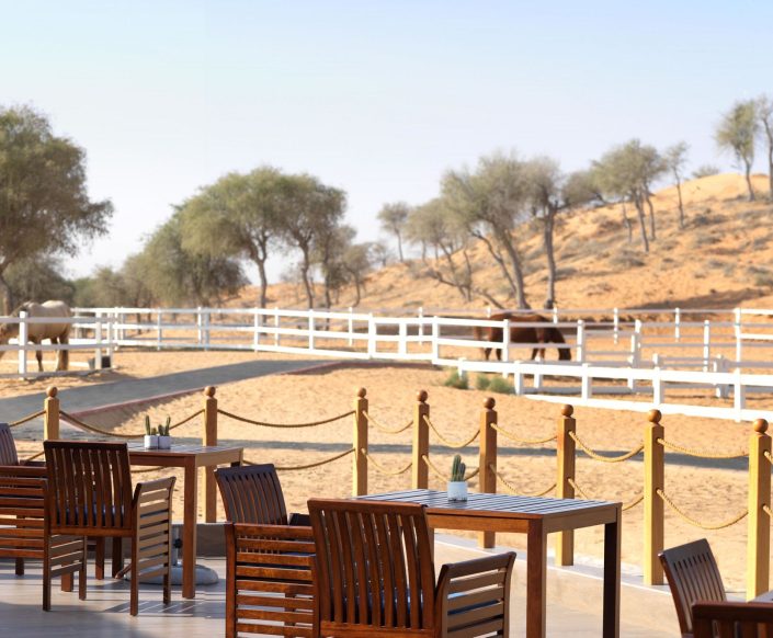 THE RITZ-CARLTON RAS AL KHAIMAH, AL WADI DESERT - Travel Dubai